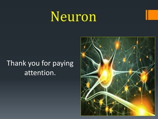 Neuron | PPTX
