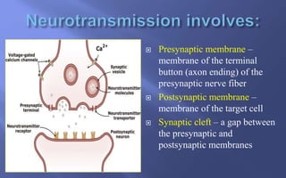 Neurotransmitters | PPTX