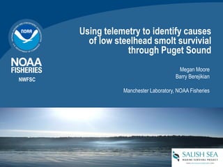 Megan Moore, Steelhead smolt survival through Puget Sound | PDF