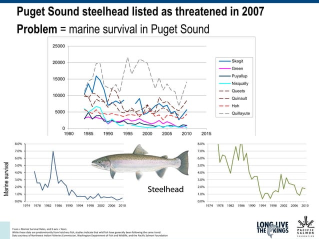 Megan Moore, Steelhead smolt survival through Puget Sound | PPT