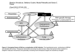 nicola petrosillo - cardiopulmonary involvement in hiv infection | PPT