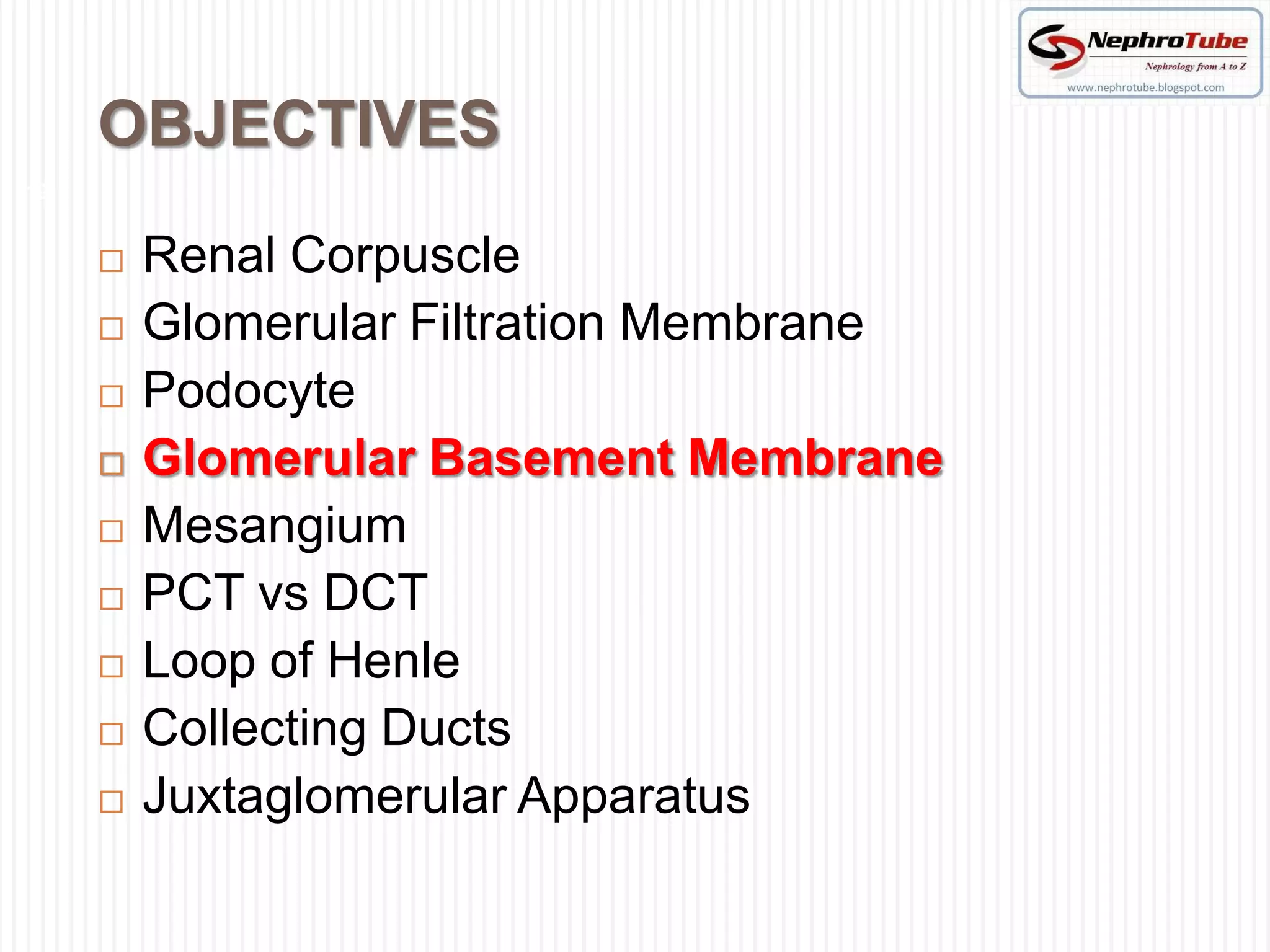 Renal Histo-Pathology (II) - Normal Kidney Electron Microscopy - Dr ...