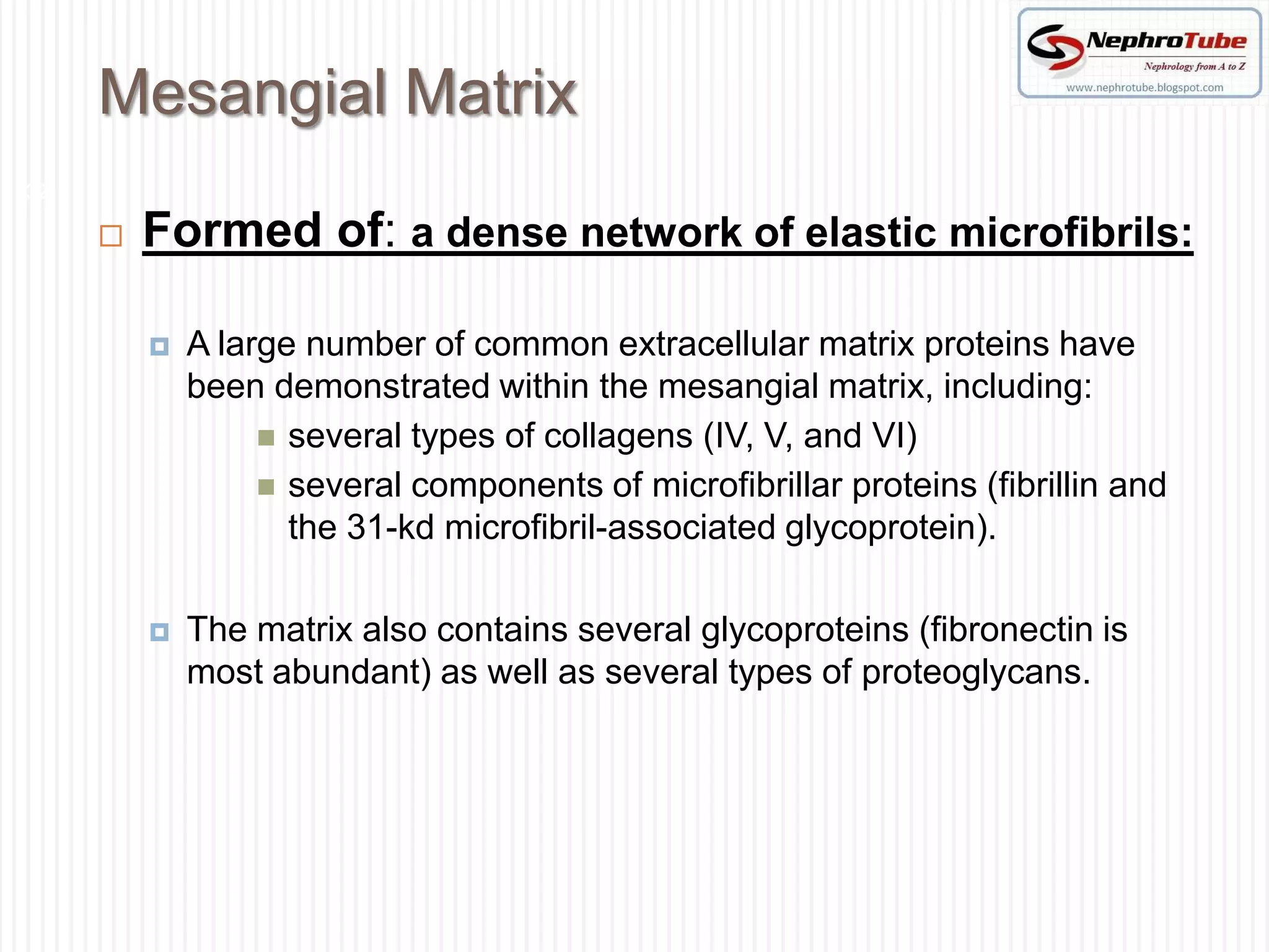 Renal Histo-Pathology (II) - Normal Kidney Electron Microscopy - Dr ...