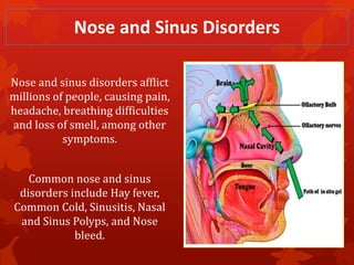 Nose and Sinus Disorders | PPTX