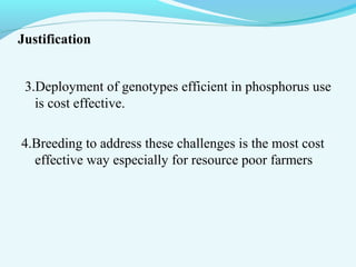 INHERITANCE OF PHOSPHORUS USE EFFICIENCY & RESISTANCE TO ANTHRACNOSE IN ...