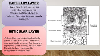 oral mucous membrane -DR Pooja | PPTX
