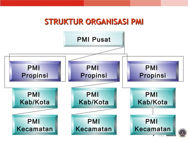 Organisasi PMI PPT (Materi PMR) | PPT