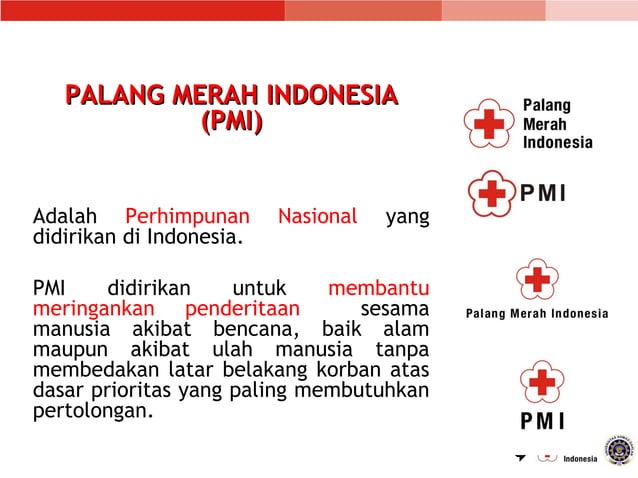 Organisasi PMI PPT (Materi PMR) | PPT