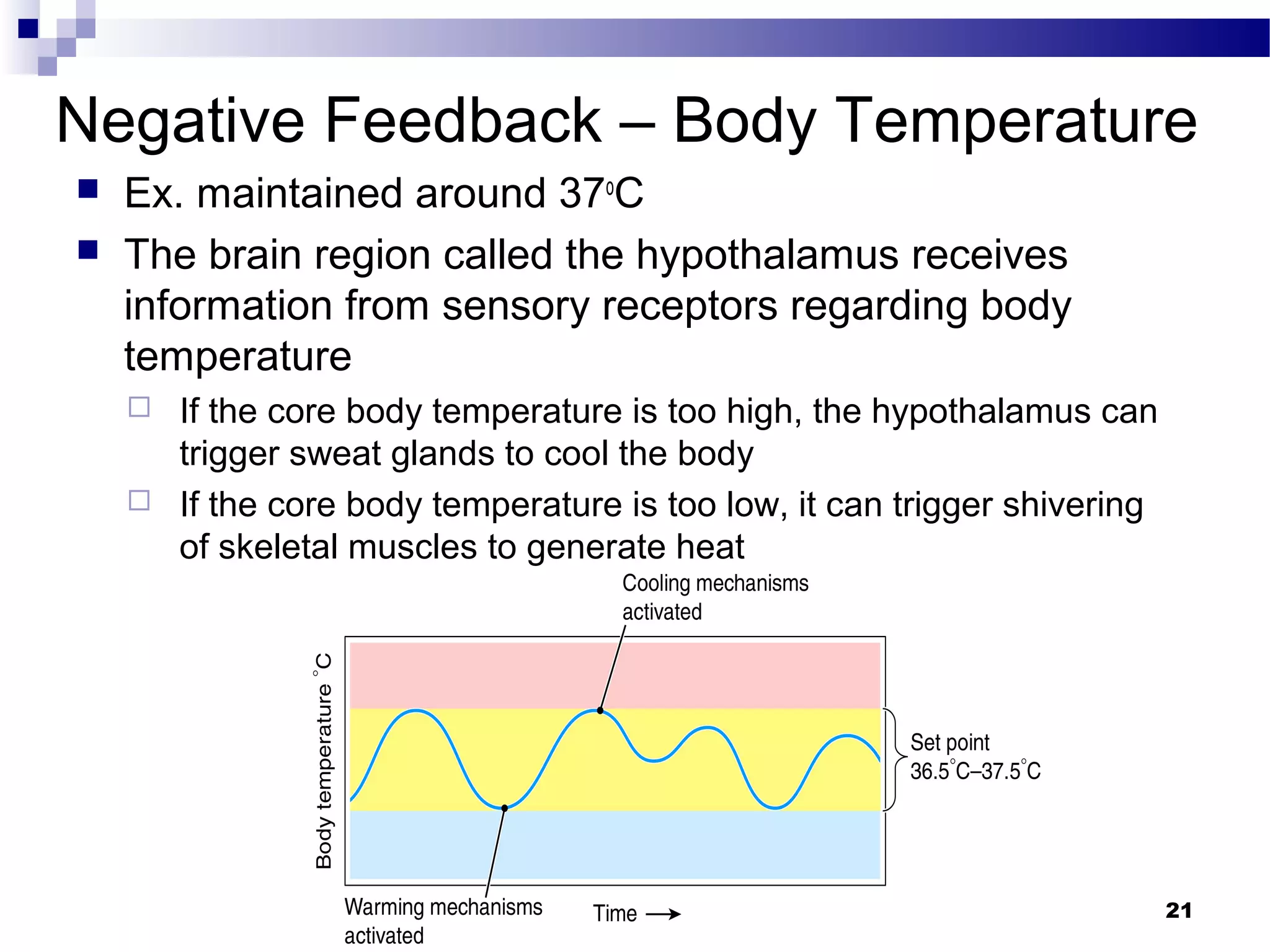 2 organization of the human body | PPT