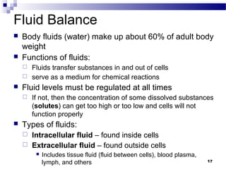 2 organization of the human body | PPT