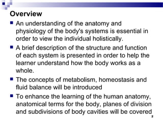 2 organization of the human body | PPT