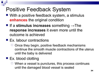 2 organization of the human body | PPT