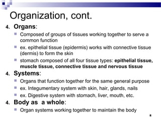 2 organization of the human body | PPT