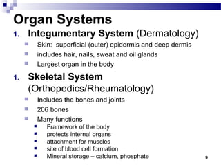 2 organization of the human body | PPT