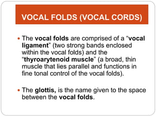 2- Organs of speech.pptx