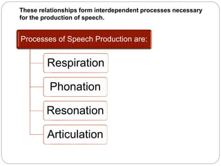 2- Organs of speech.pptx