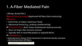 origin of pulpal pain changes in nerve function .pptx