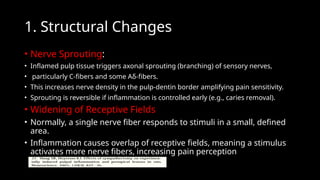 origin of pulpal pain changes in nerve function .pptx