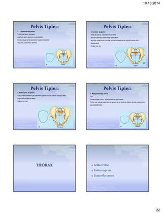 2 osteoloji-shmyo | PDF