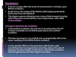 embryology ovarian cycle explanation about all process in ovarian | PPT