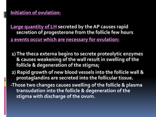 embryology ovarian cycle explanation about all process in ovarian | PPT