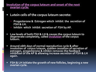 embryology ovarian cycle explanation about all process in ovarian | PPT