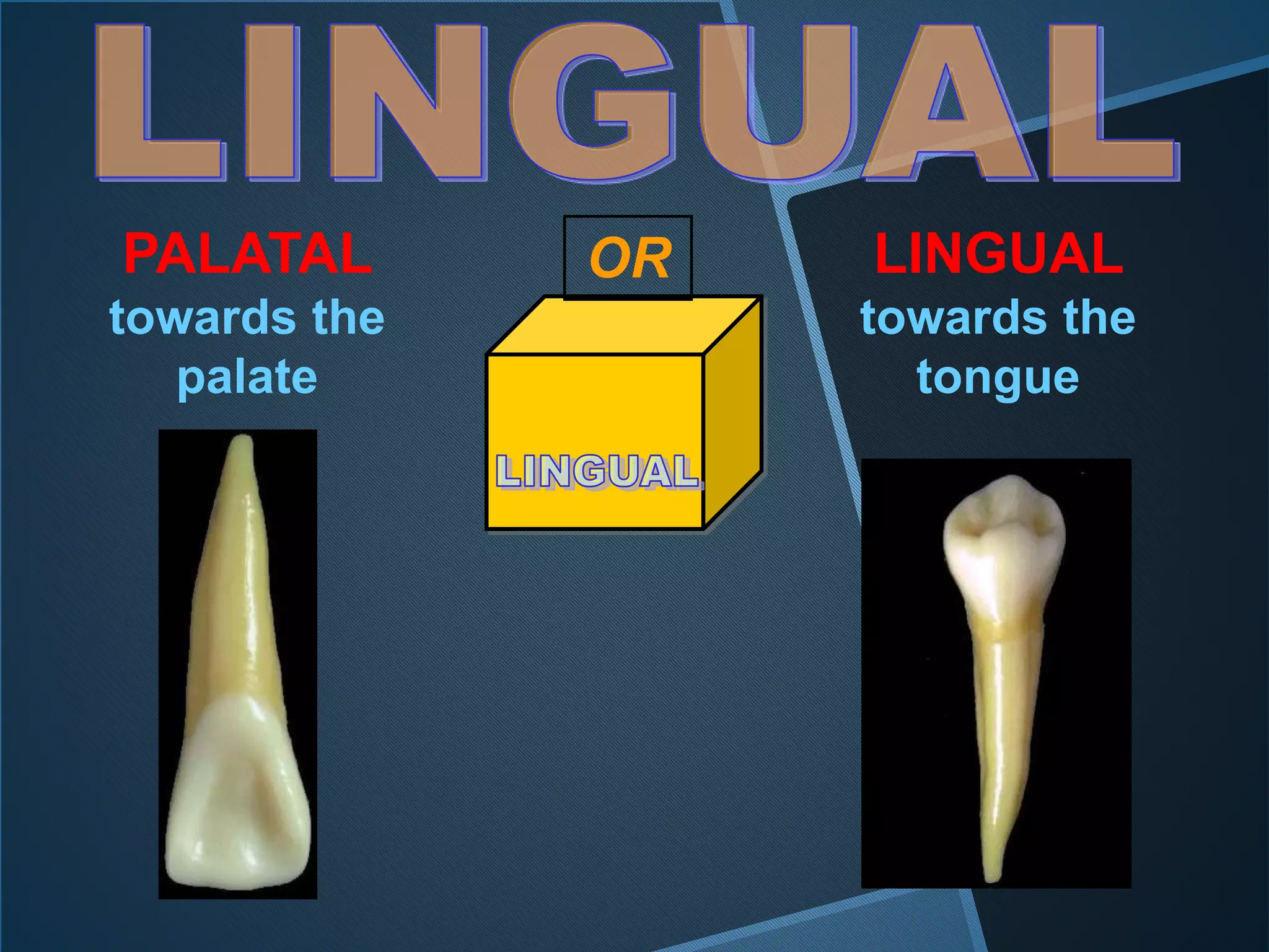 over view of dentition | PPTX
