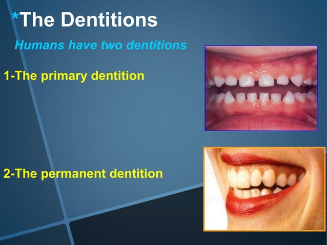 over view of dentition | PPT