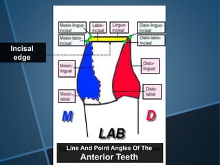 over view of dentition | PPTX