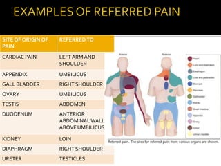 Cardiac Referred Pain