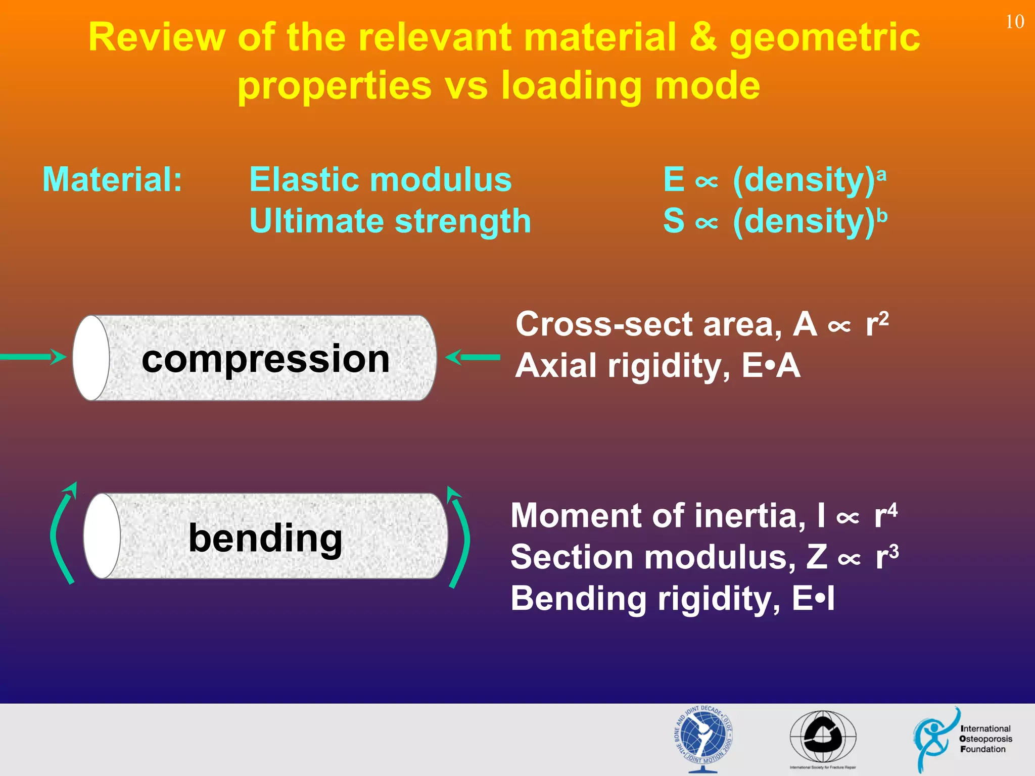 Fragility Fractures - Pathogenesis-Biomechanical View | PPT