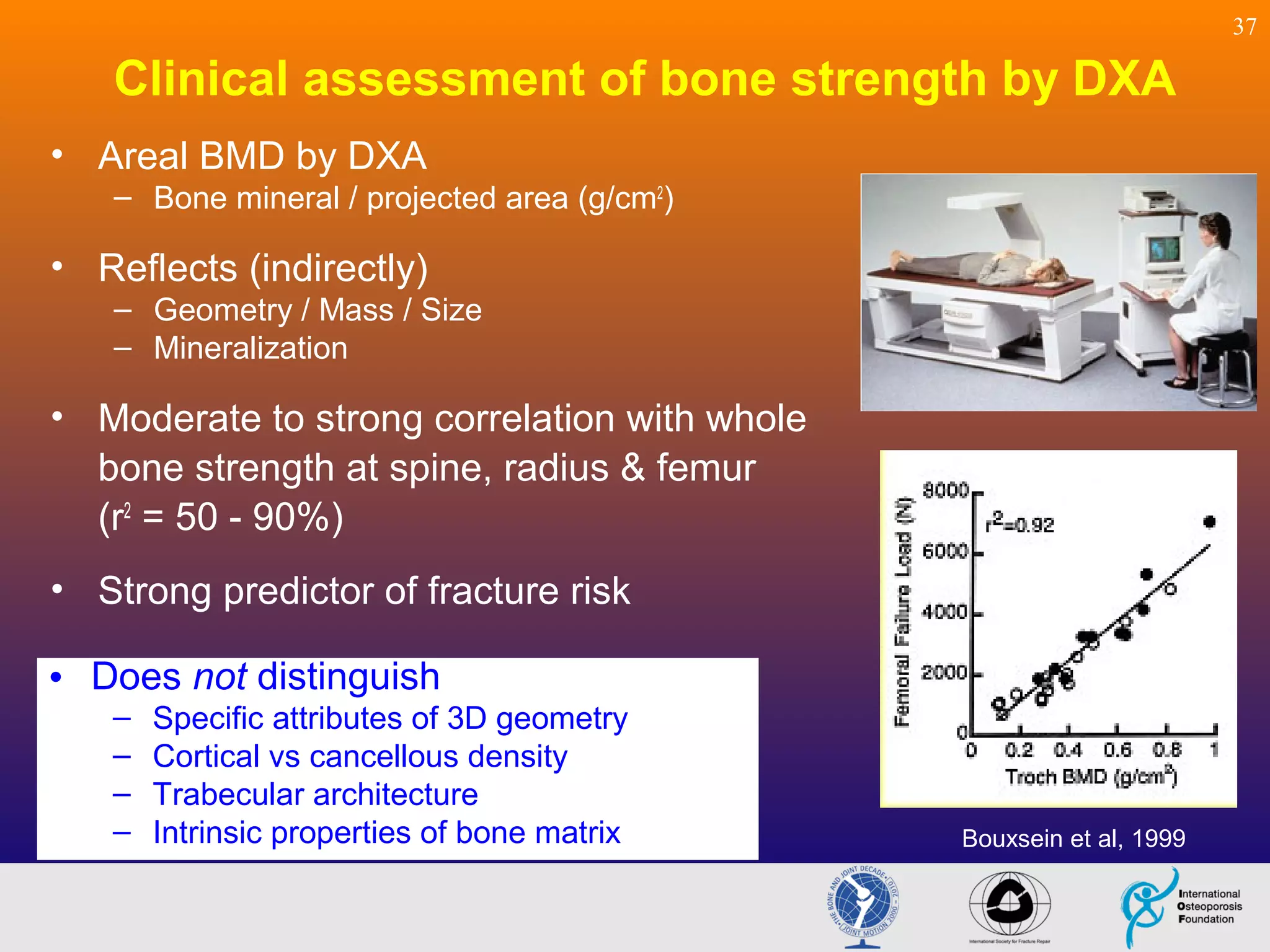 Fragility Fractures - Pathogenesis-Biomechanical View | PPT