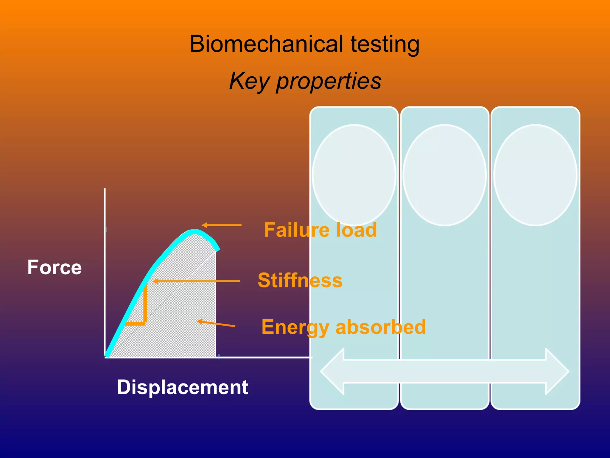 Fragility Fractures - Pathogenesis-Biomechanical View | PPT