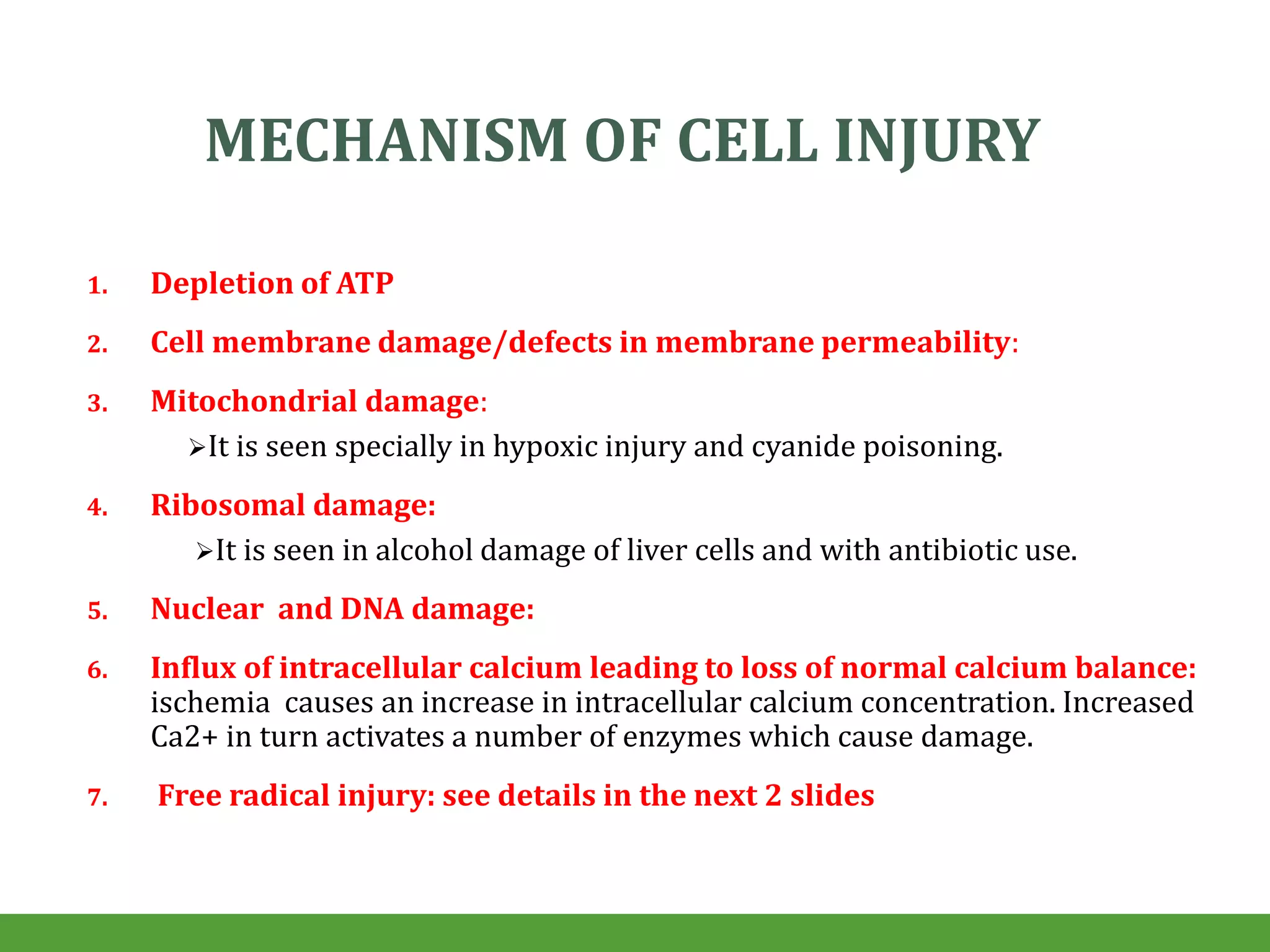 2- Pathology CELL INJURY L1 Medical Sept 2020.ppt
