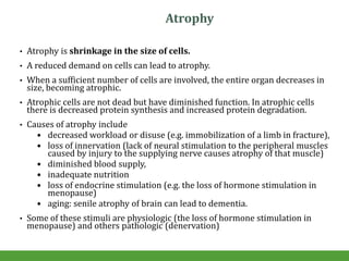 2- Pathology CELL INJURY L1 Medical Sept 2020.ppt