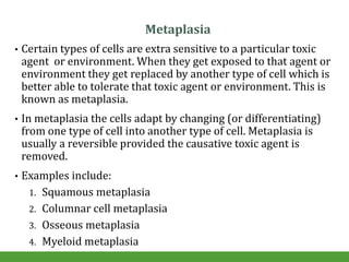 2- Pathology CELL INJURY L1 Medical Sept 2020.ppt