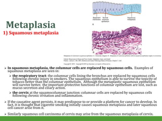 2- Pathology CELL INJURY L1 Medical Sept 2020.ppt