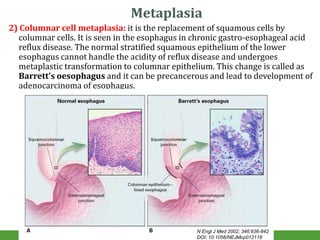 2- Pathology CELL INJURY L1 Medical Sept 2020.ppt