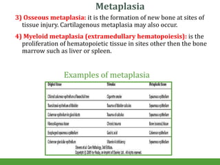 2- Pathology CELL INJURY L1 Medical Sept 2020.ppt
