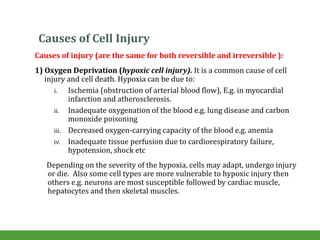 2- Pathology CELL INJURY L1 Medical Sept 2020.ppt