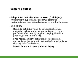 2- Pathology CELL INJURY L1 Medical Sept 2020.ppt