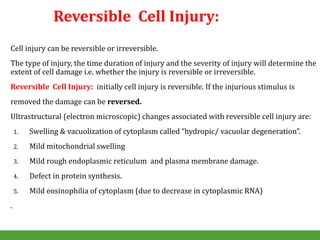 2- Pathology CELL INJURY L1 Medical Sept 2020.ppt