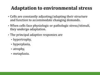 2- Pathology CELL INJURY L1 Medical Sept 2020.ppt