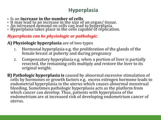 2- Pathology CELL INJURY L1 Medical Sept 2020.ppt