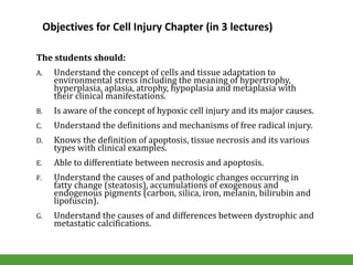 2- Pathology CELL INJURY L1 Medical Sept 2020.ppt