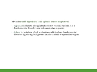 2- Pathology CELL INJURY L1 Medical Sept 2020.ppt