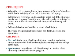 2- Pathology CELL INJURY L1 Medical Sept 2020.ppt