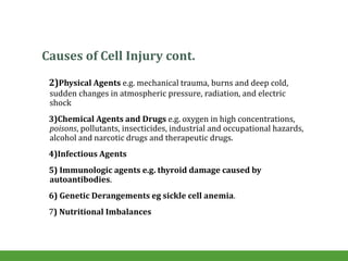 2- Pathology CELL INJURY L1 Medical Sept 2020.ppt