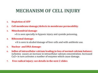2- Pathology CELL INJURY L1 Medical Sept 2020.ppt