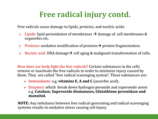 2- Pathology CELL INJURY L1 Medical Sept 2020.ppt